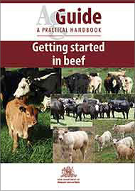 Beef Ag Guide - Getting Started in Beef | Farmstyle Australia